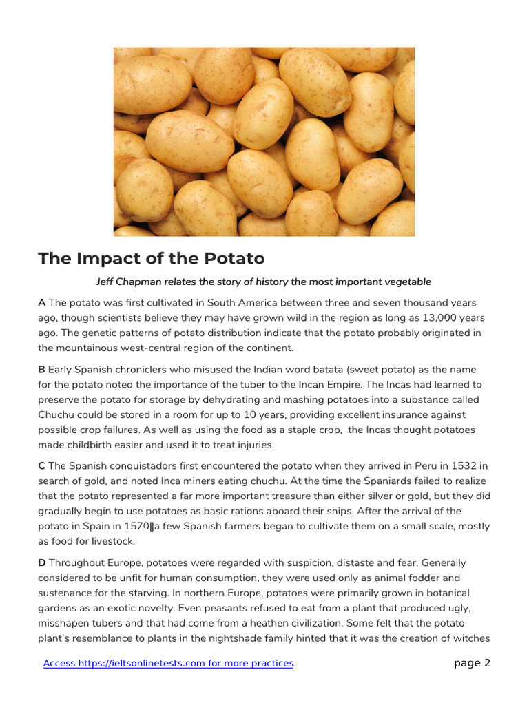 The Historical Significance of Potatoes | PDF | Potato | Sweet Potato