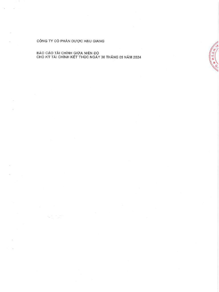 DHG-BCTC-Q3.2024-bài Nhóm | PDF