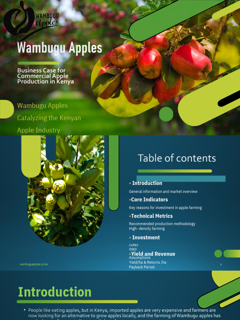 Wambugu Apples Presentation 231123 092707 PDF | PDF | Apple | Agriculture