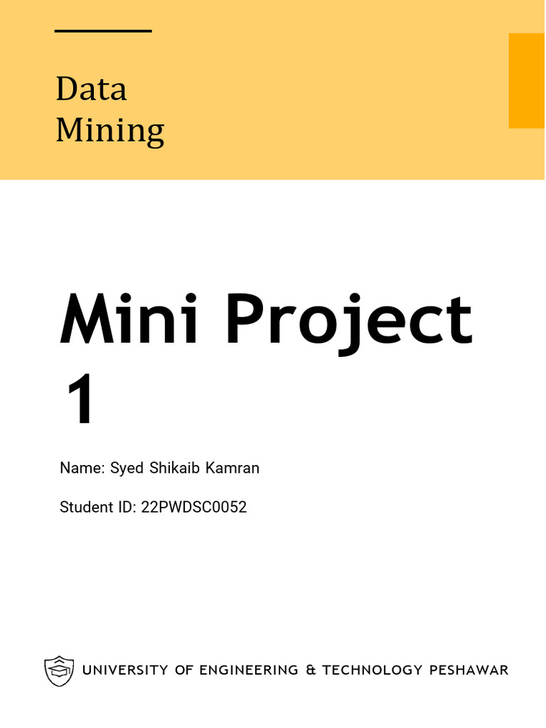 Mini Project - Documentation (0052) | PDF