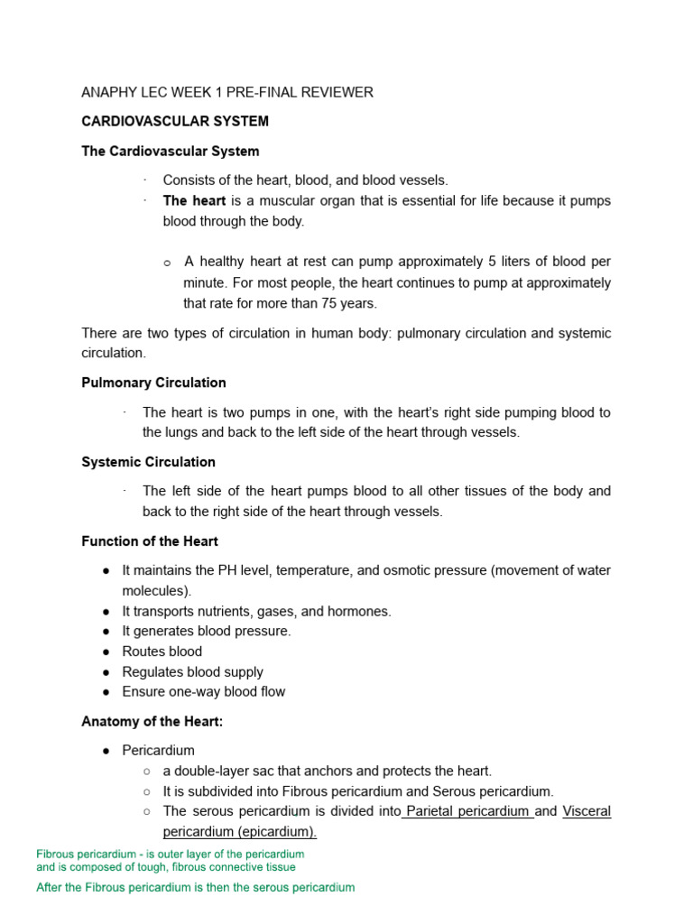 Circulatory System Pre-Final Reviewer | PDF | Heart Valve | Heart