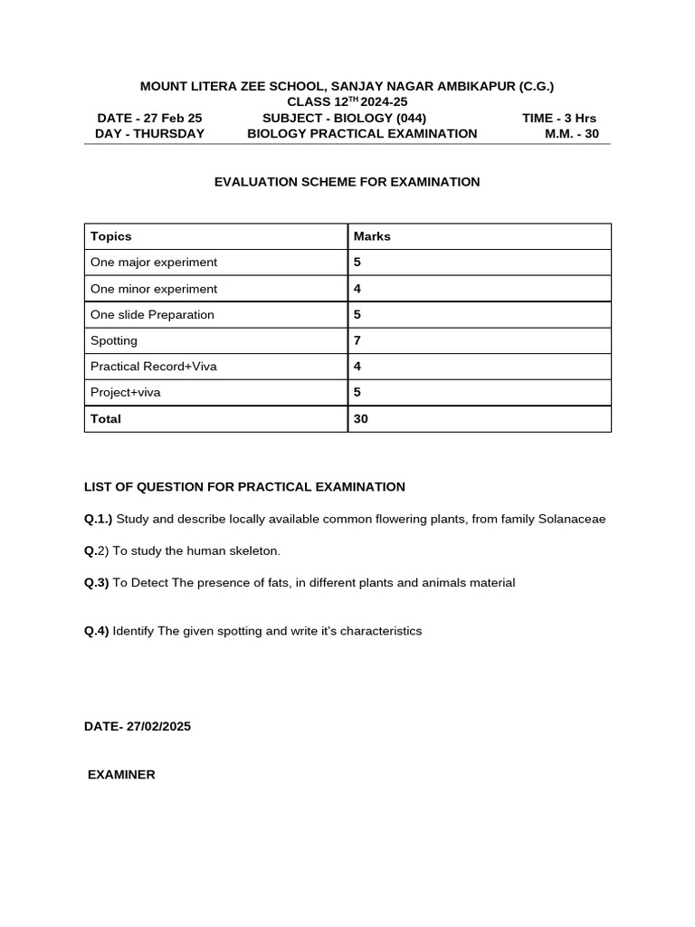 C-11 Practical Question Paper | PDF