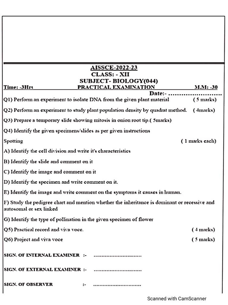 Final Practical Quations Paper | PDF