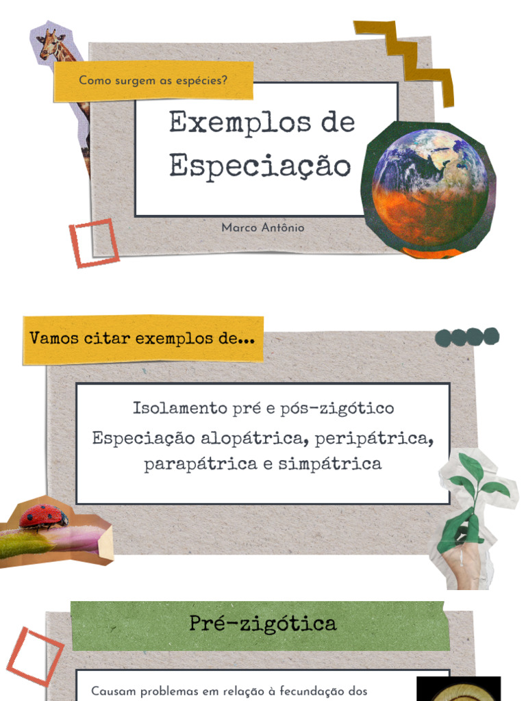 Survival Adaptation Science Presentation Cut Out Style | PDF | Evolução ...