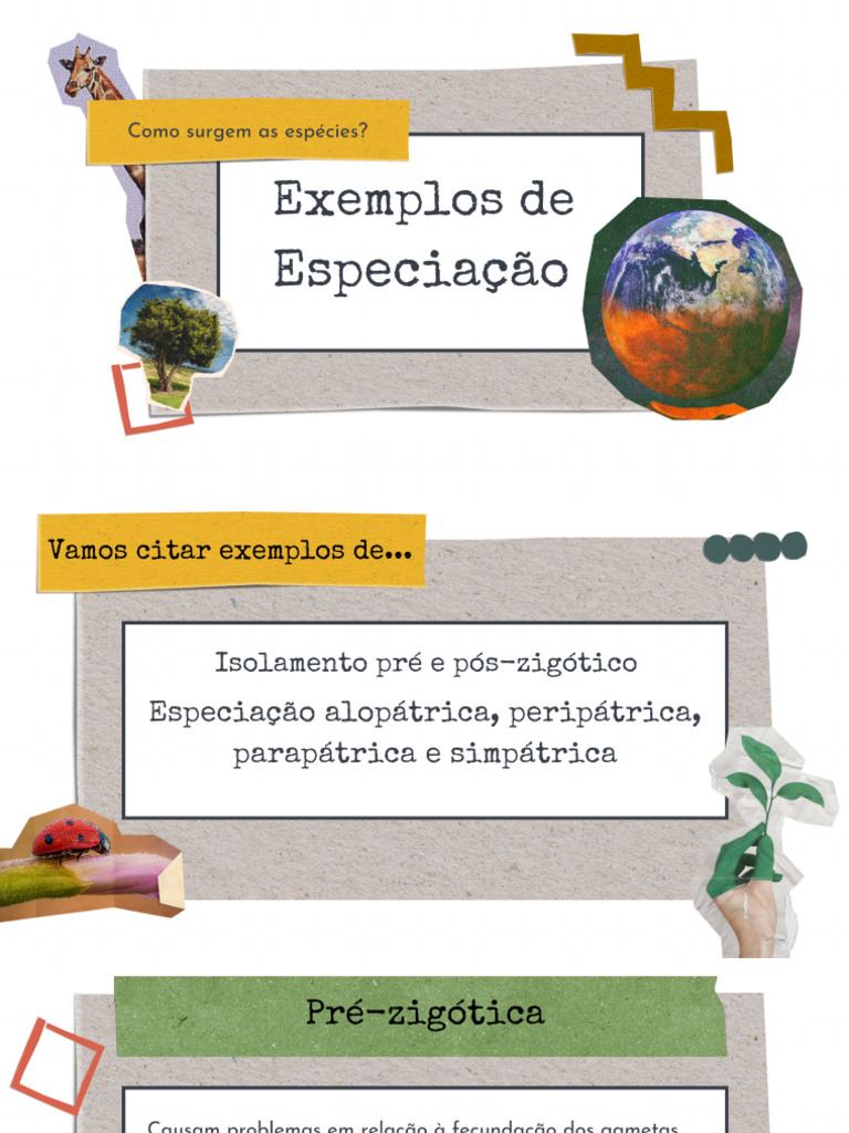 Survival Adaptation Science Presentation Cut Out Style | PDF