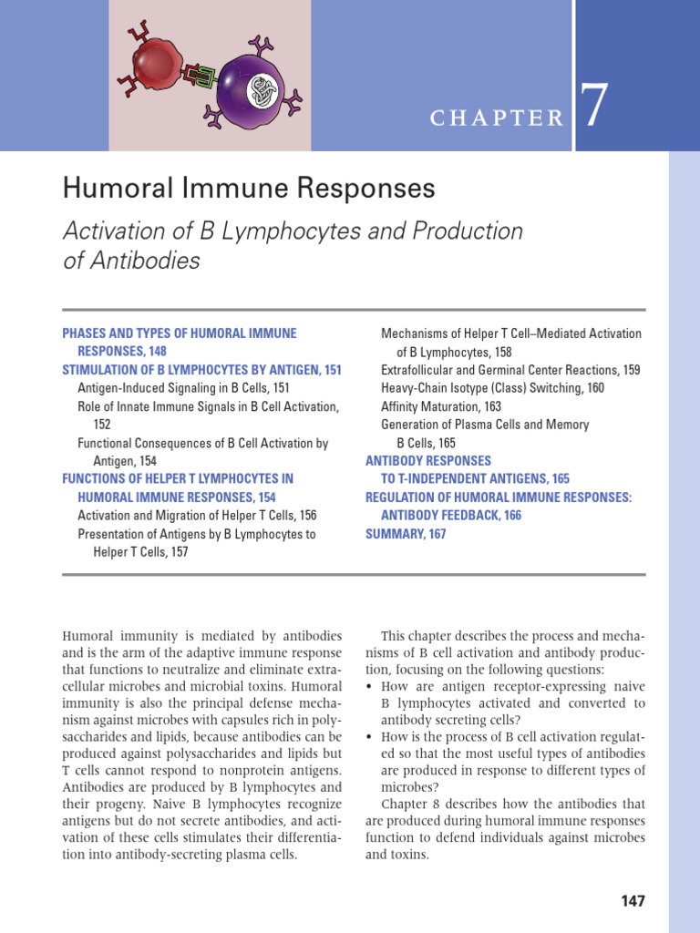 Basic Immunology Functions and Disorders of the Immune System PDFDrive-صور-1 | PDF | B Cell ...