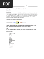 Starch Presence Test in Leaves Lab Report | PDF | Leaf | Photosynthesis