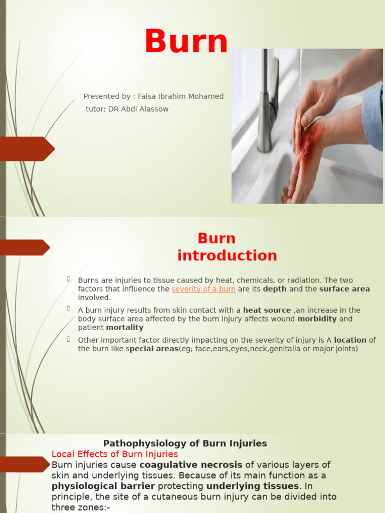 MY Presentation Burn Final | PDF | Burn | Medical Specialties