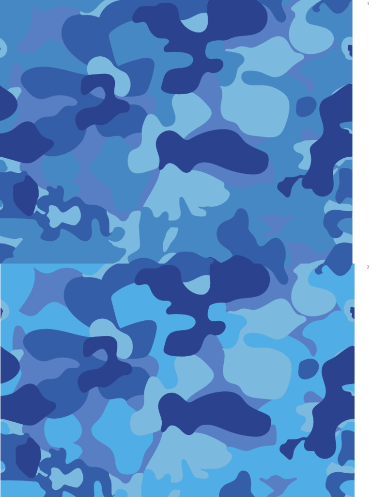 blue camo | PDF