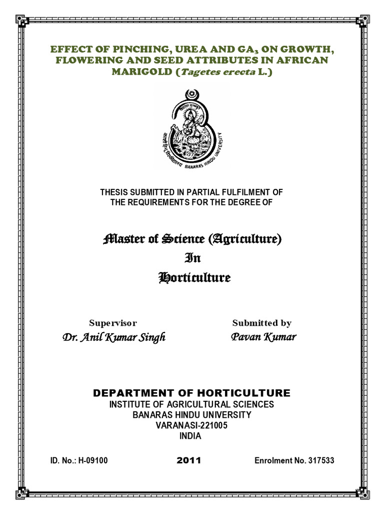 Marigold 11 | PDF | Botany | Plants