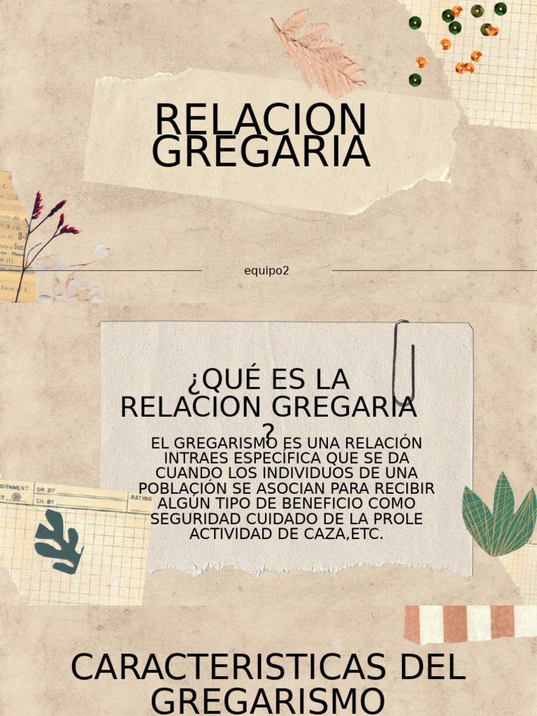 Qué es la Relación Gregaria en Biología | PDF | Biología | Zoología