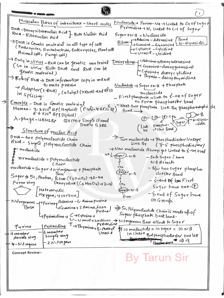 Molecular Basis of Inheritance - Handwritten Notes | PDF