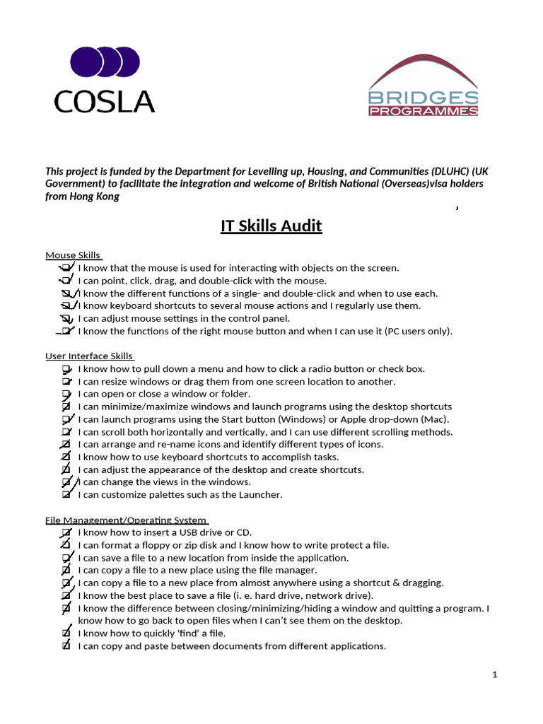 3 - HK Project IT Skills Audit | PDF | Window (Computing) | Computer File