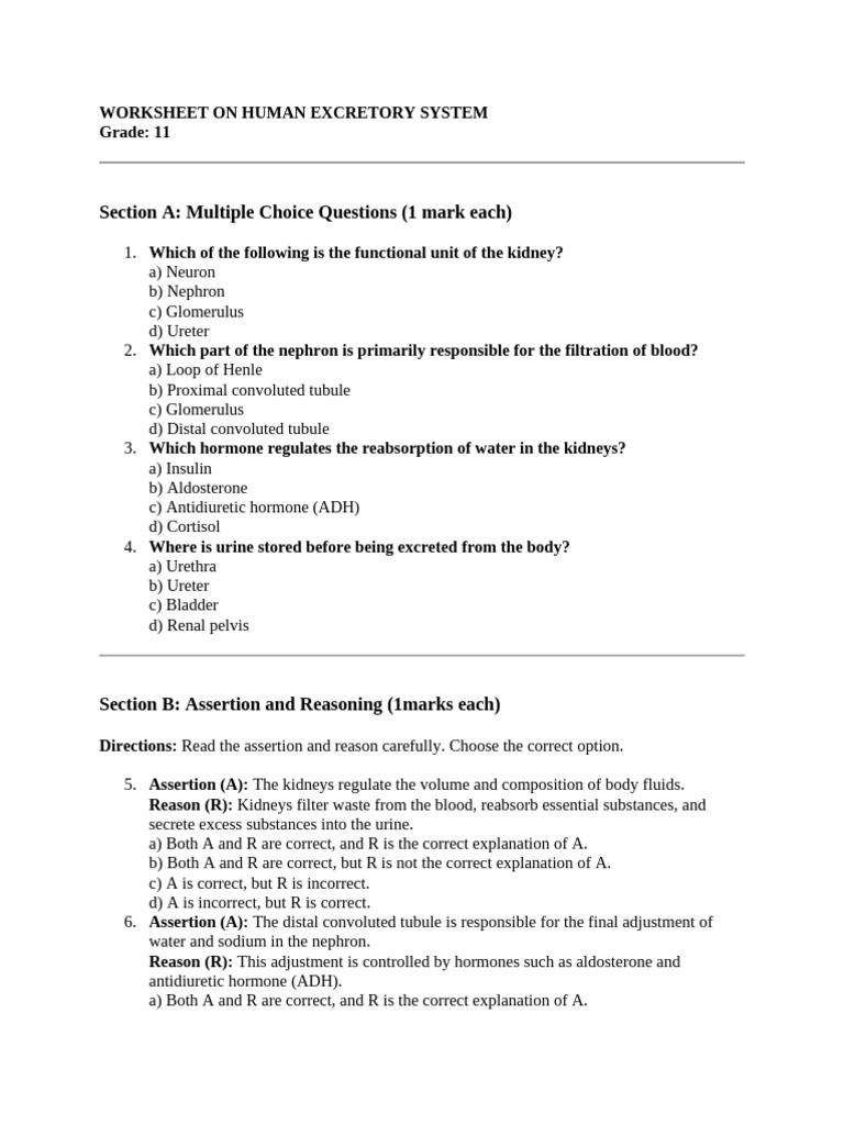 Worksheet On Human Excretory System | PDF | Kidney | Endocrine System