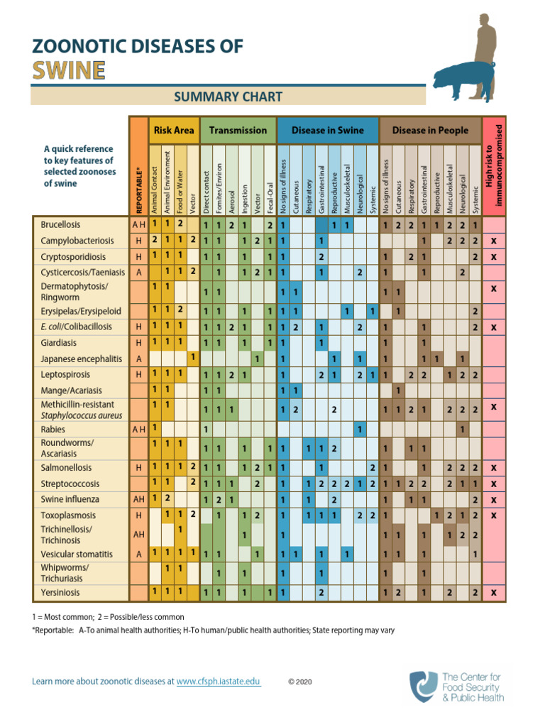 Zoonotic Diseases of Swine Summary Chart | PDF | Clinical Medicine ...