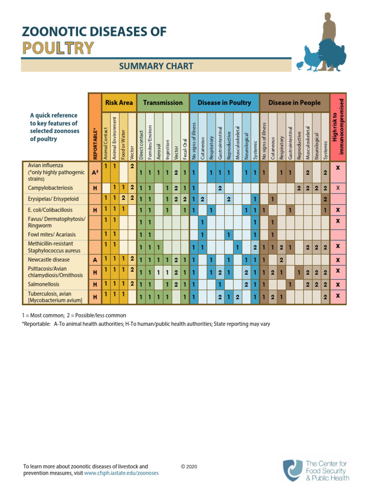 Poultry Zoonotic Diseases Summary Chart | PDF | Avian Influenza ...