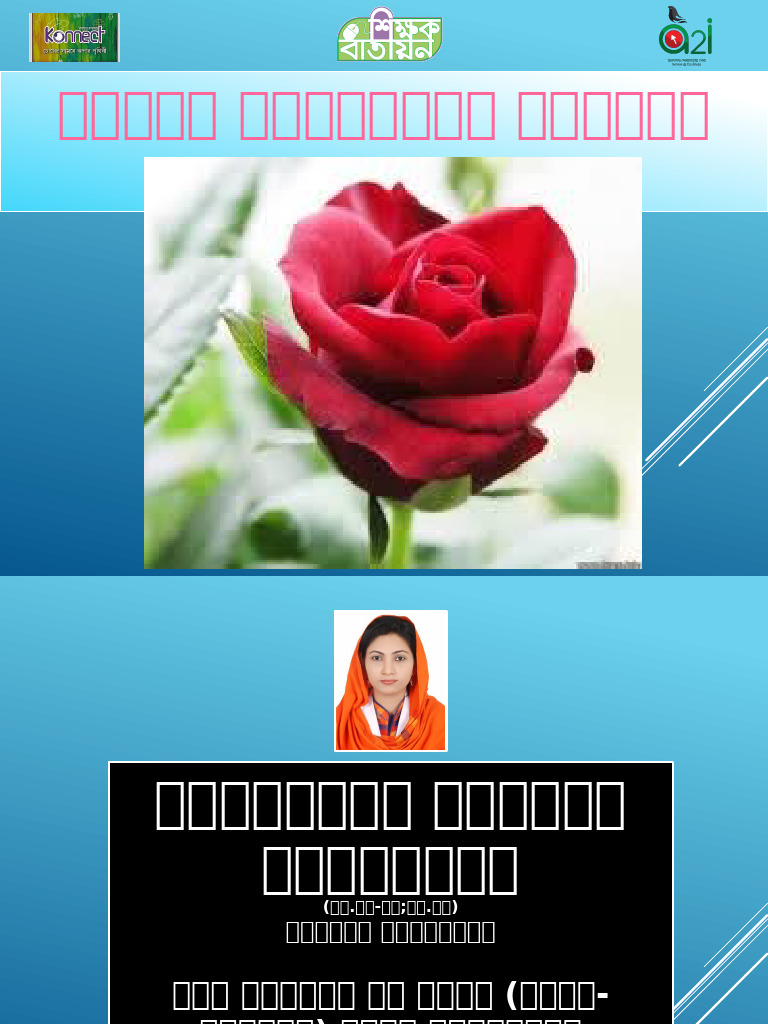 Sittun Nabila Siddiqua - Class - 11, ICT - Chapter 1 | PDF