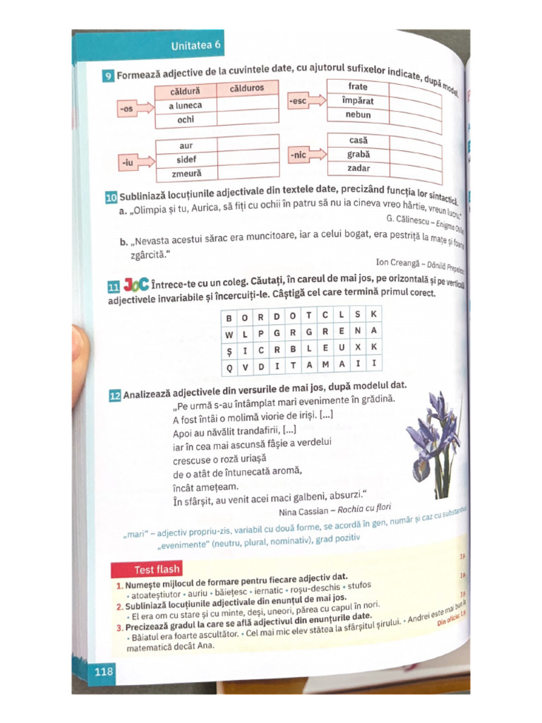 Adjectivul Clasa 7 | PDF