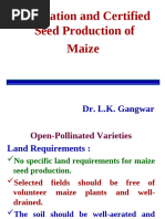 Maize Floral Biology & Seed Production | PDF | Flowers | Maize