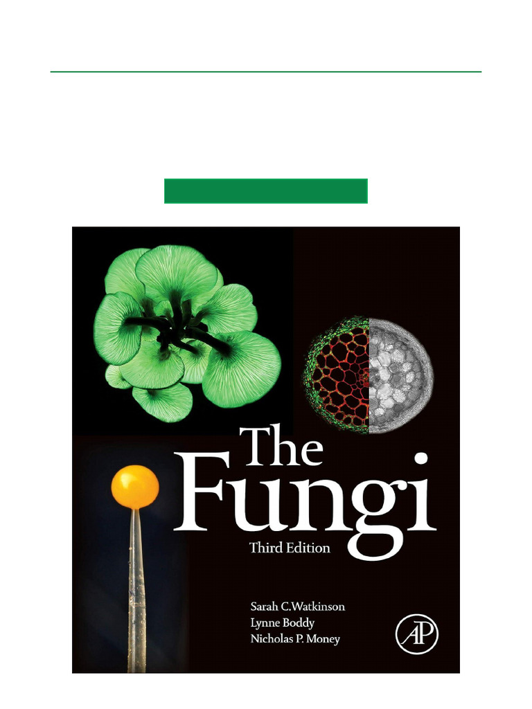 The Fungi, 3rd Edition PDF Download | PDF | Fungus | Phylogenetic Tree