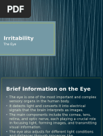 Grade 12 Life Science The Eye | PDF | Eye | Myopia