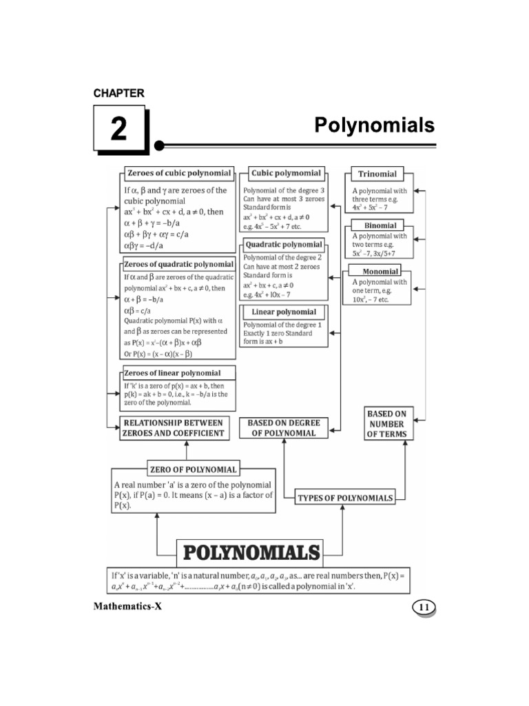 Chapter 2 Polynomial Class X | PDF