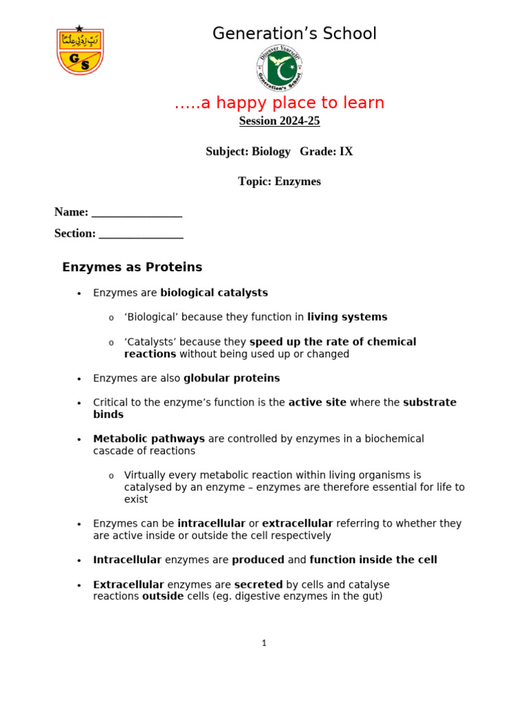 Enzymes Hand Outwith Worksheet | PDF | Enzyme | Active Site