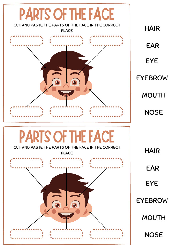 Brown Illustrated Match The Parts of Face Name Worksheet | PDF