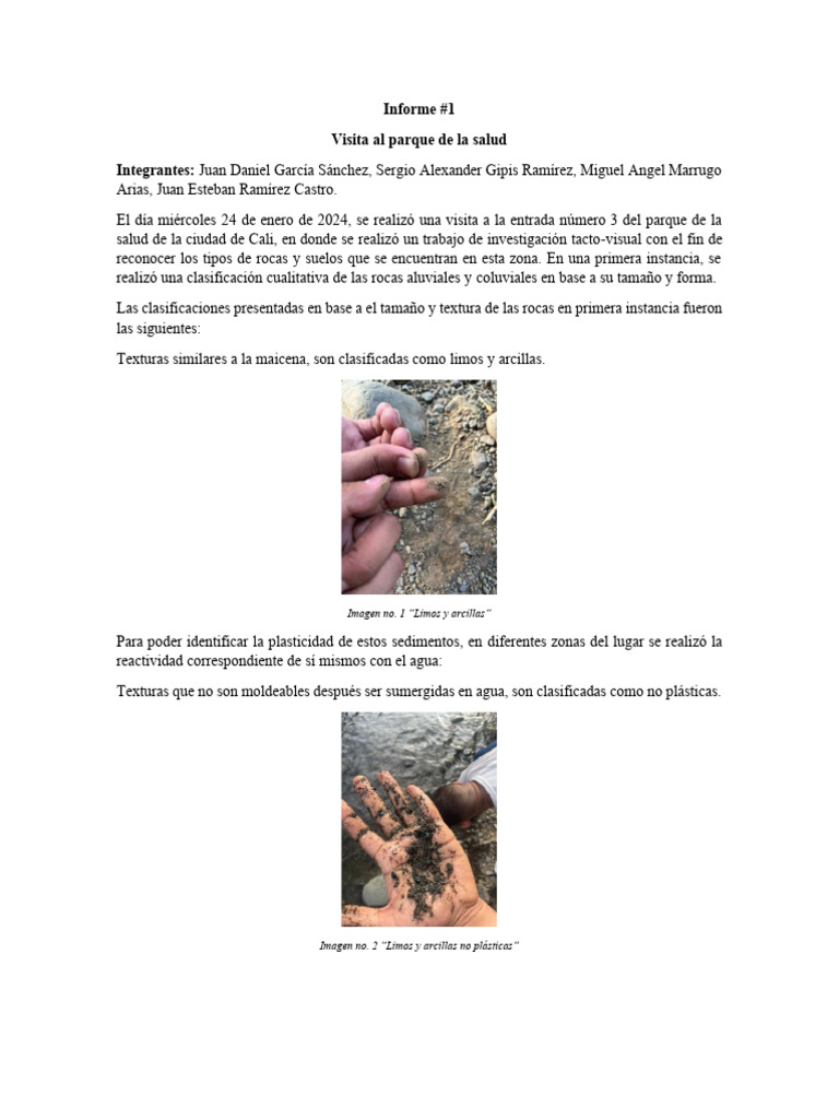 Informe Mecanica de Suelos | PDF | Roca (geología) | Arcilla