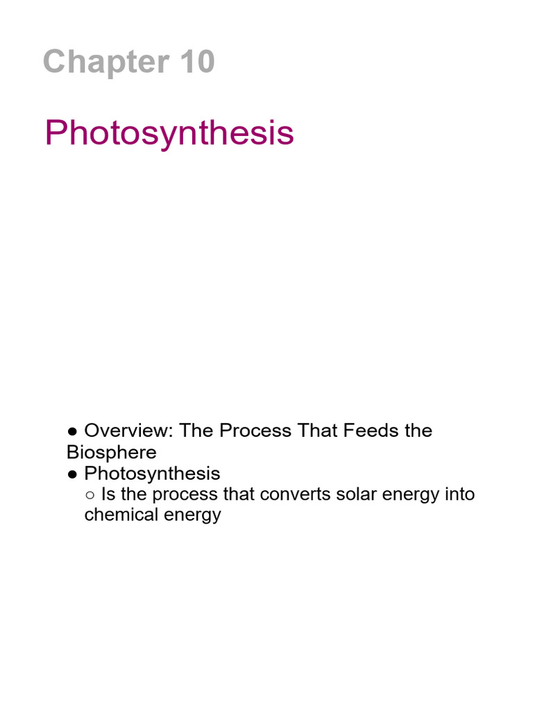 Photosynthesis Overview and Mechanisms | PDF | Photosynthesis | Chlorophyll