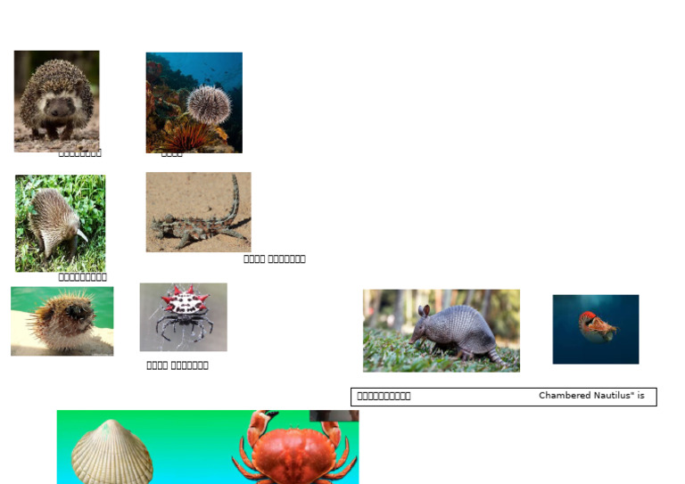 Sains 1 Year 5 | PDF