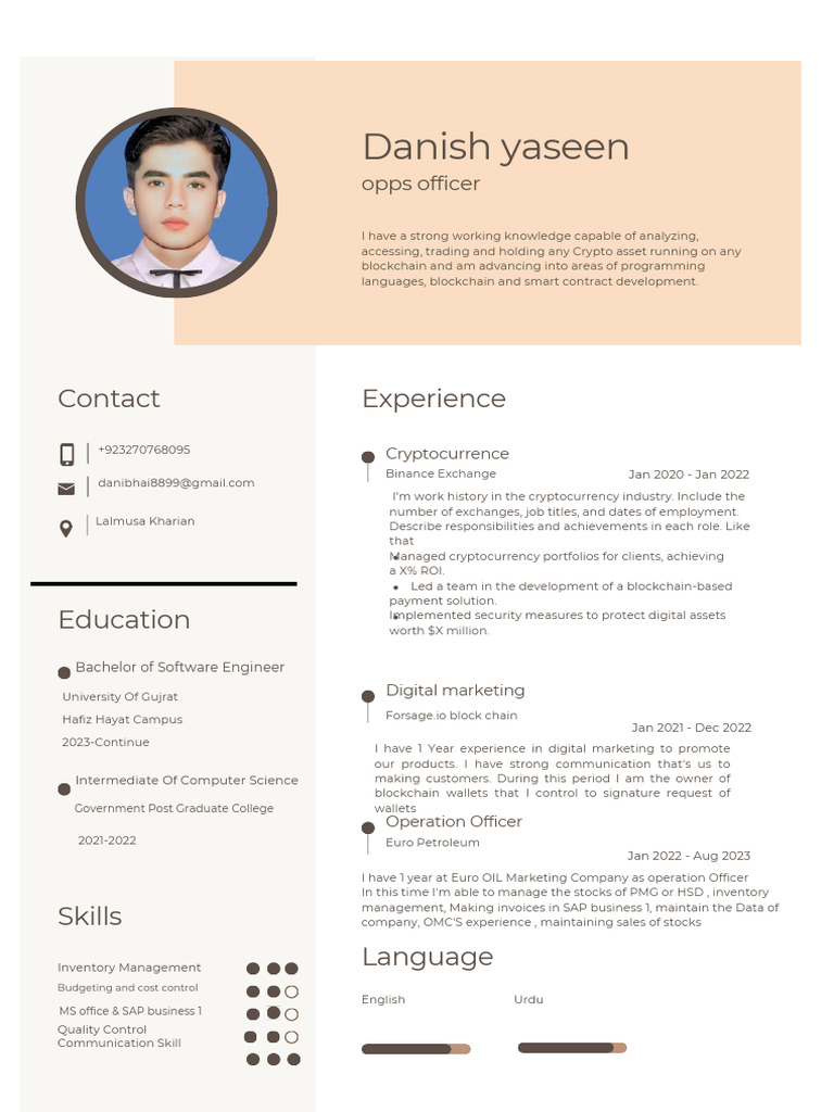 Danish Yaseen Resume PDF | PDF | Cryptocurrency | Economies