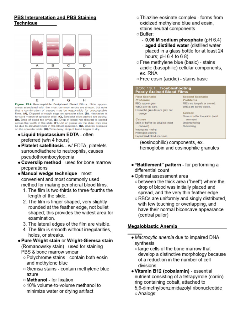 Peripheral Blood Smear, Megaloblastic Anemia | PDF | Vitamin B12 ...