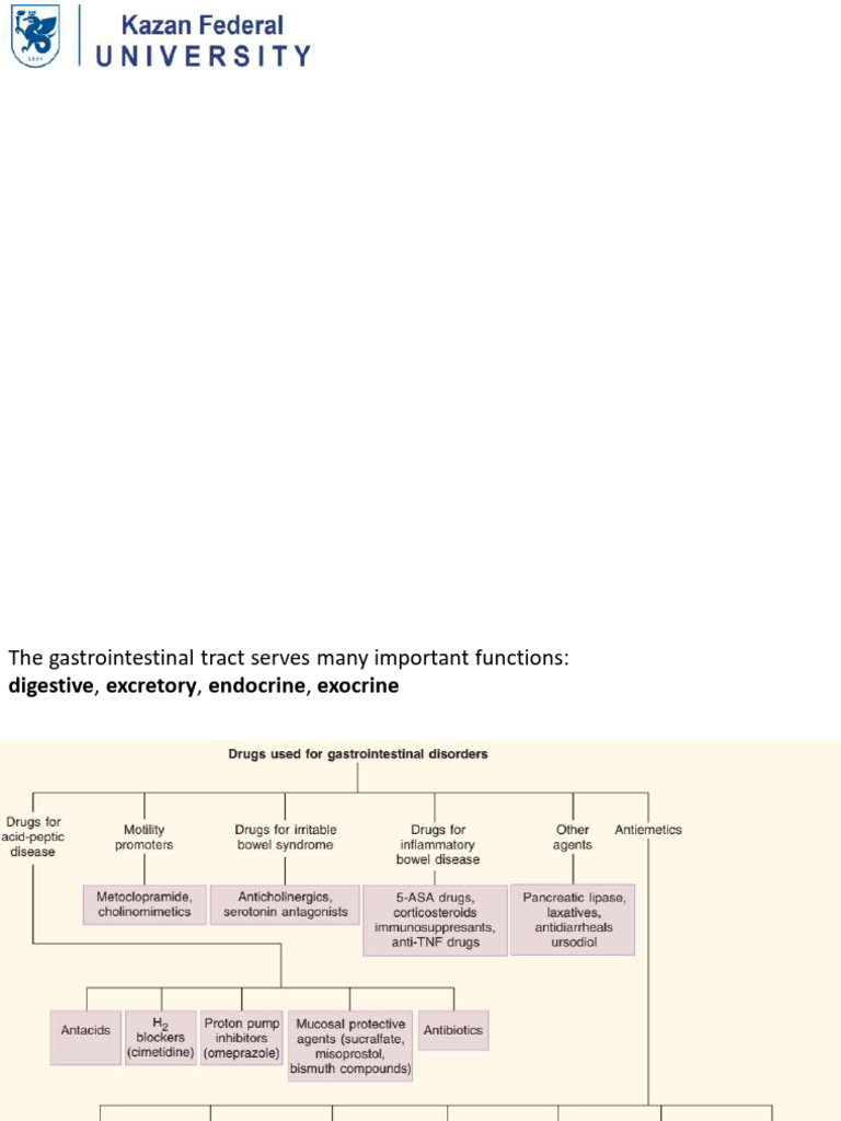 Lecture 14 - GIT and Uterus - Final-1 | PDF | Childbirth | Irritable Bowel Syndrome