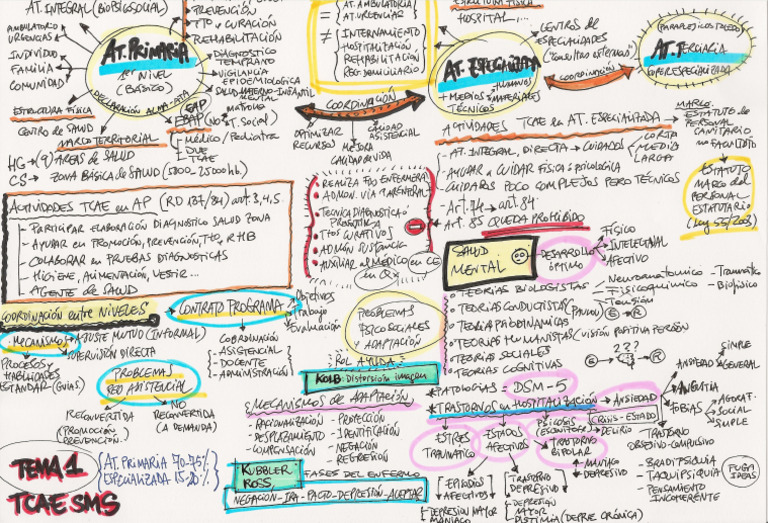 Tema 1 Esquema Ope Tcae | PDF