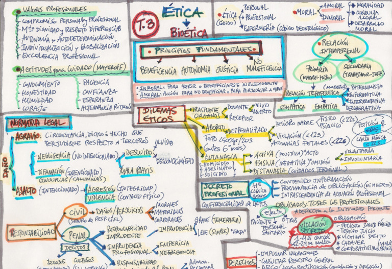 TEMA 3 ESQUEMA OPE TCAE | PDF