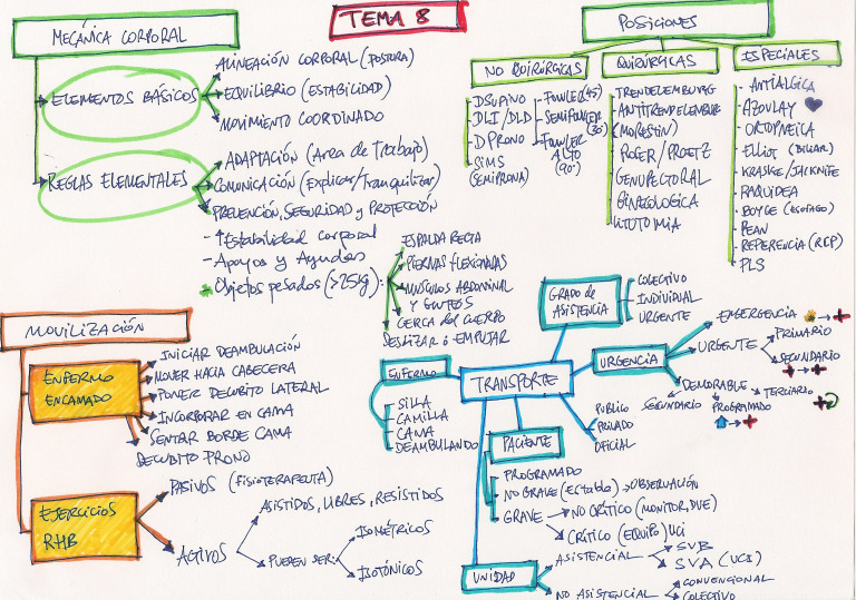 Tema 8 Esquema Ope Tcae | PDF