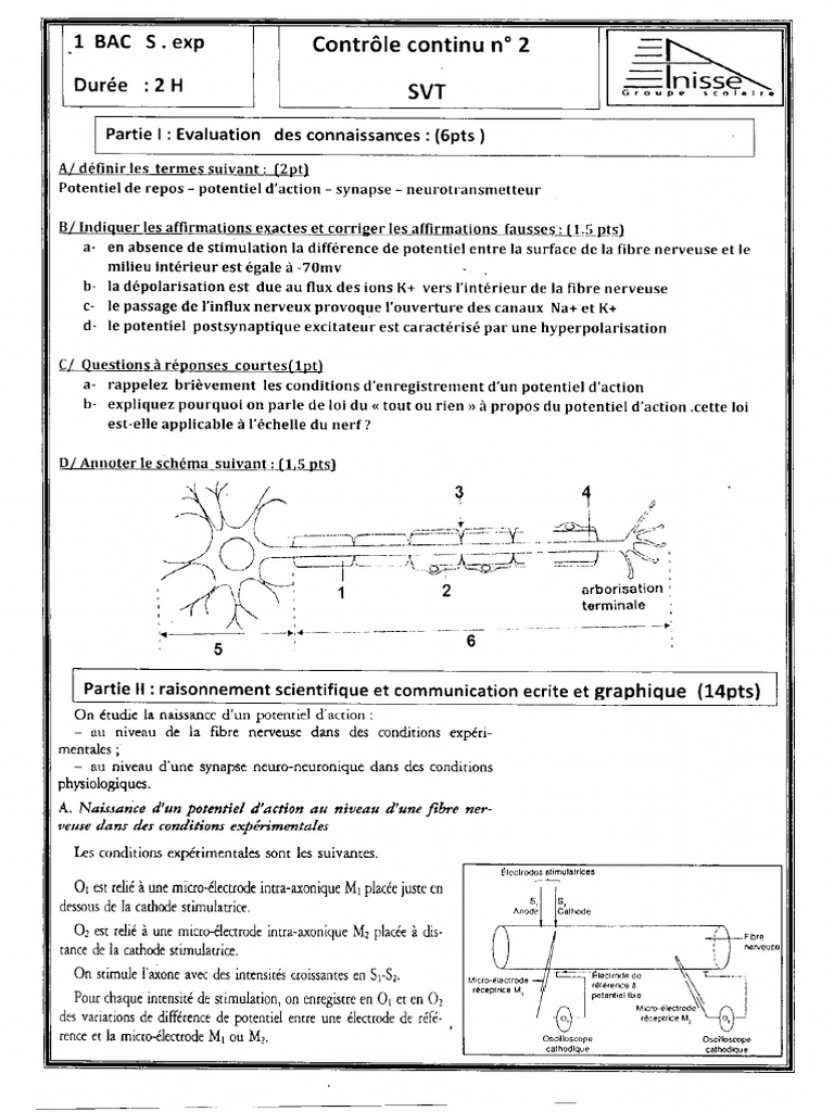 devoir-2-modele-1-svt-1-bac-sc-ex-semestre-1 | PDF