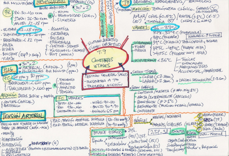 Tema 9 Esquema Ope Tcae | PDF