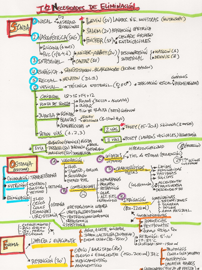 Tema 12 Esquema Ope Tcae | PDF