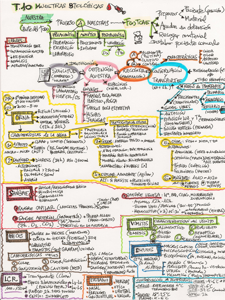 Tema 10 Esquema Ope Tcae | PDF