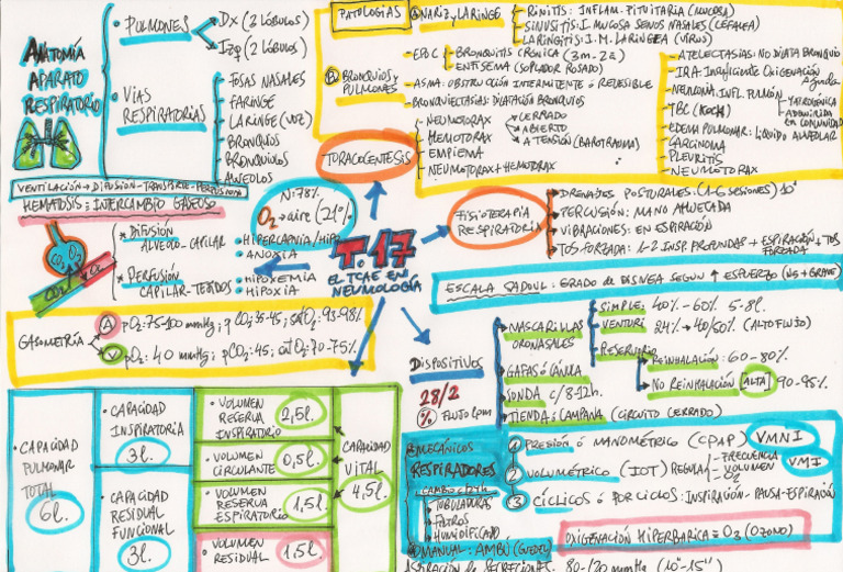 TEMA 17 ESQUEMA OPE TCAE | PDF