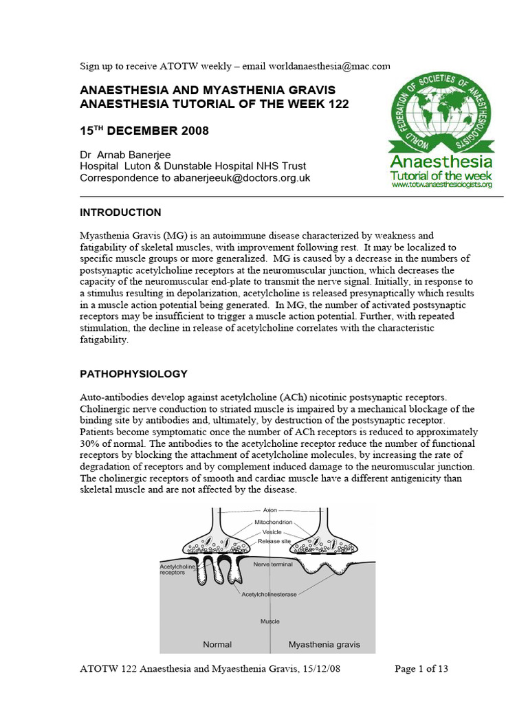 Anesthesia Considerations in Myasthenia Gravis | PDF | Neuromuscular ...