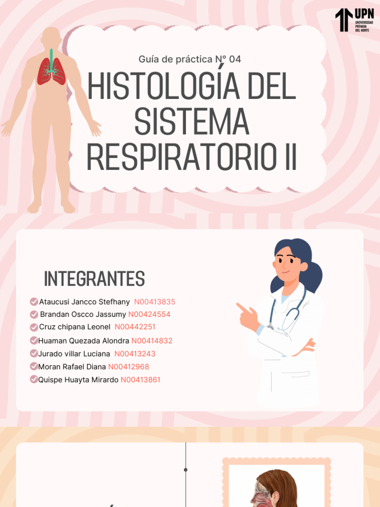 Guía Practica N 4 | PDF | Tos