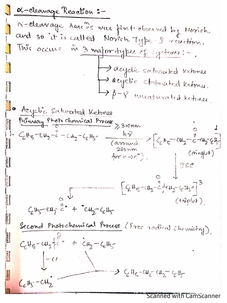 Norish Type I Lec 1 | PDF