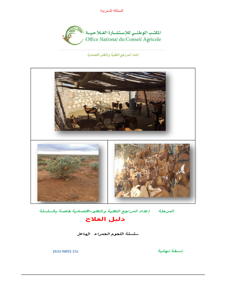 N 891 Guide Arabe - Viande Rouge Caprine | PDF