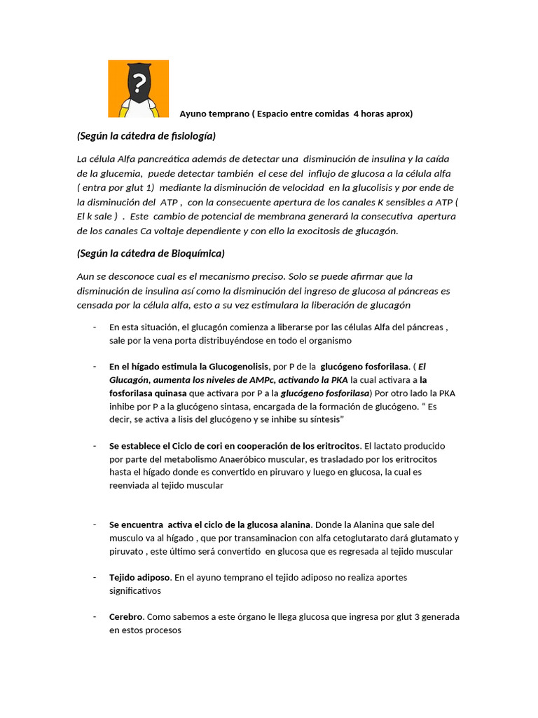Mecanismos del Ayuno Temprano y Glucagón | PDF | Glucógeno | Bioquímica
