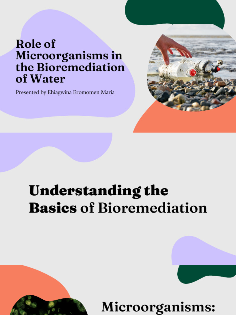 Role of Microorganisms in The Bioremediation of Water | PDF
