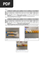 EnteroPluri Tube: Biochemical Testing Guide | PDF | Biology | Microbiology