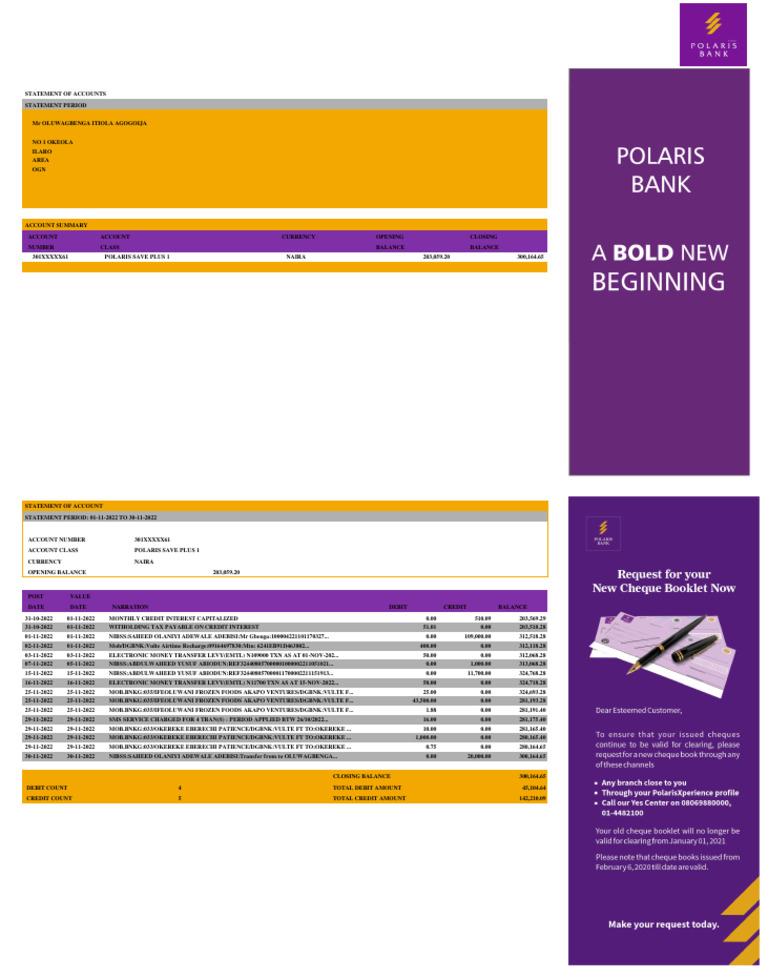 November 2022 Account Statement Summary | PDF | Services (Economics ...
